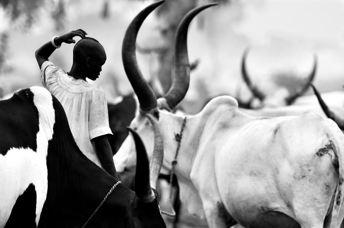 Grandes fotógrafos: Michael Freeman